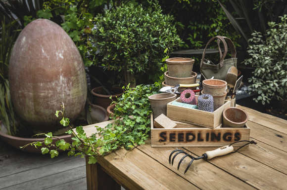 Garden Essentials - The Chelsea Gardener